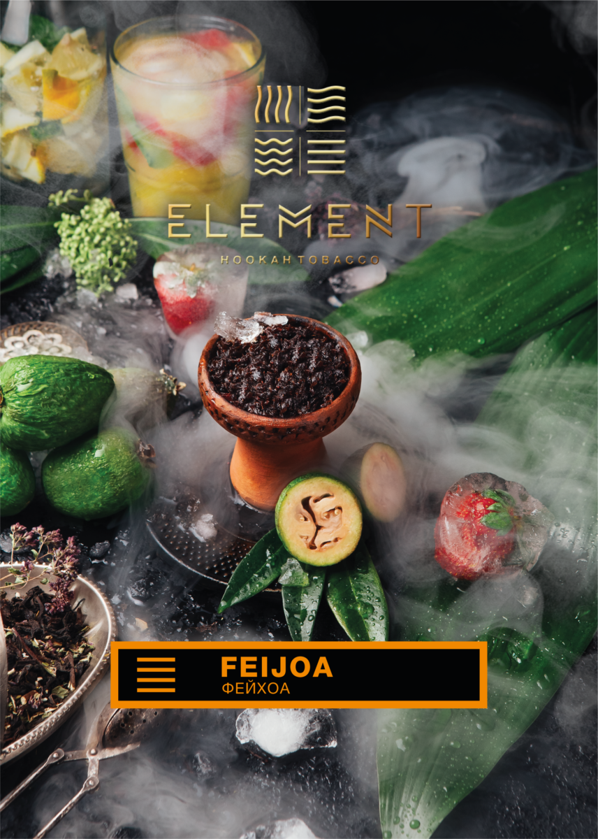 Element Tobacco Feijoa (Earth Line) - 200gr - Hookah Merch